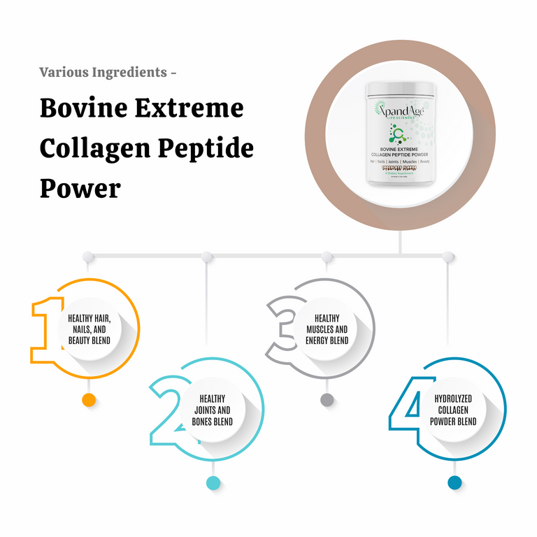 Bovine Extreme Collagen Peptide Powder Chocolate (600g) – XpandAge Life ...
